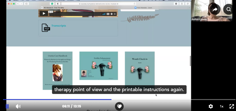 Alignment Monkey-Reproductive & Digestive Health-Abdominal Therapies